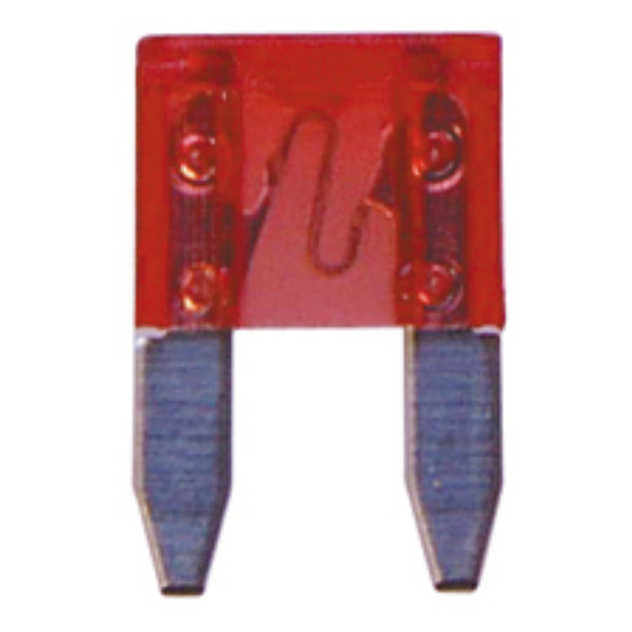 3 stuks 10 A mini meszekeringen : Auto5.be